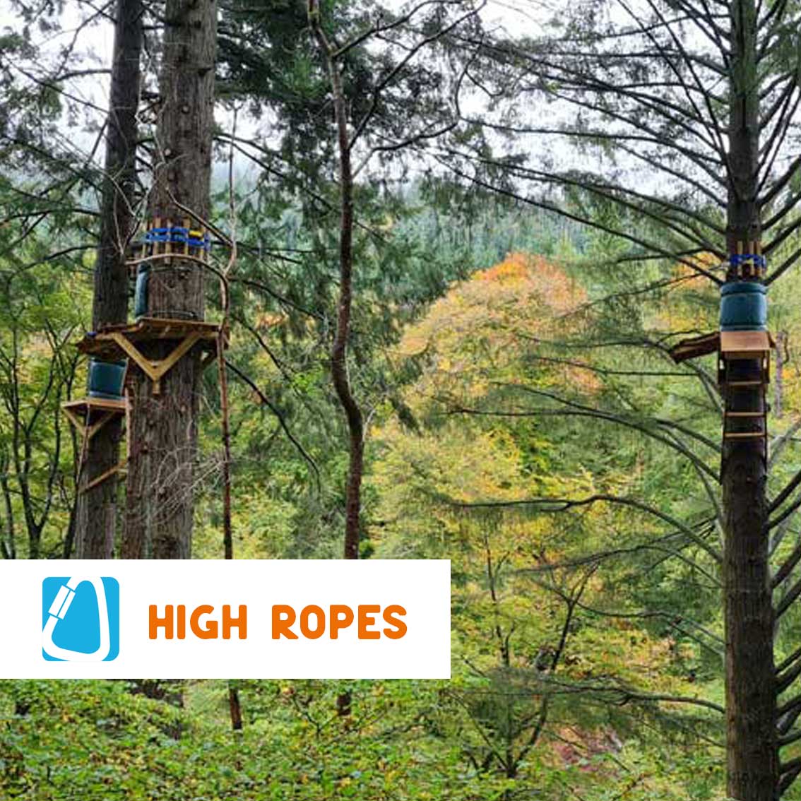 Home - Adventure Course Construction Scotland